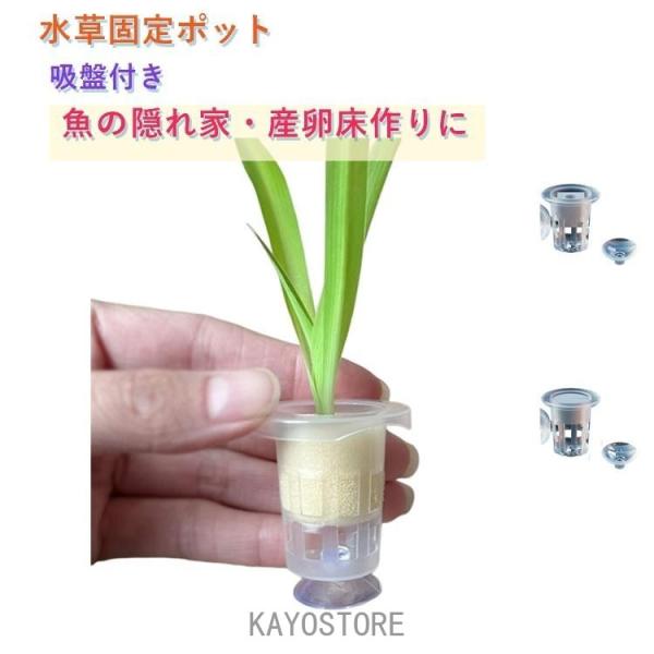 商品名:水草 固定ポット カップ 吸盤付き ポット バスケット 水耕栽培 育苗ポット メダカ 金魚 金魚鉢 熱帯魚 水槽 レイアウト 用品 スポンジ 栽培 植栽 浮き 防止 ミニ プラスチック 内装 飾り 装飾 演出 グッズ 商品説明:水草...