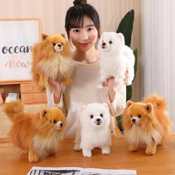キーワード：ぬいぐるみ ポメラニアン 犬 リアル 本物そっくり 生々しい いぬ 抱き枕 イヌの置物 動物 ふわふわ 柔らかい 癒し系 部屋 インテリア 誕生日 贈り物 ギフト 飾り物 長い25×高い22cm素材表地：ポリエステル中素材：PP...