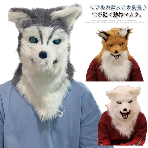 サイズ ：F サイズ