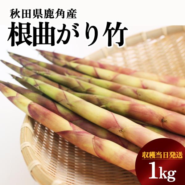 【発売日：2026年05月20日】●出荷時期：5月下旬頃から出荷予定天候の影響により出荷時期が前後する場合がございます。●生鮮品のため、配送指定日はお受けできません。配送時間帯指定及び大まかなお受け取り希望のみお受けいたします。配送希望の場...
