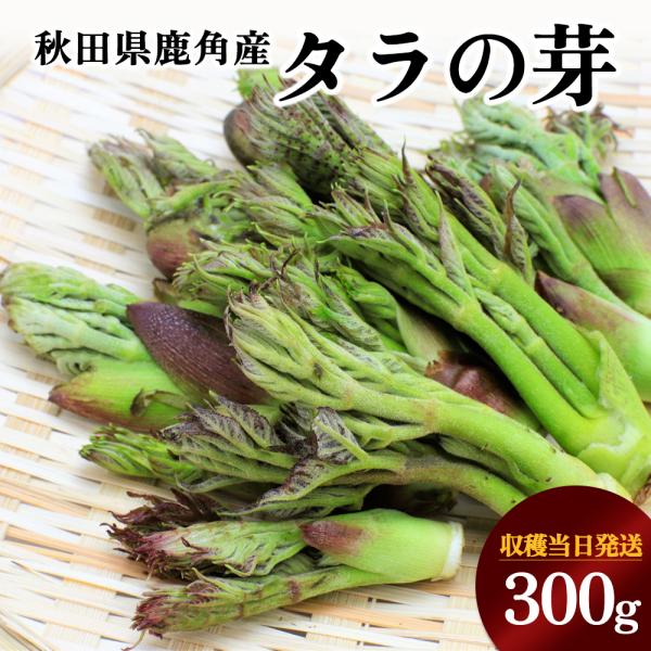 【発売日：2026年05月01日】●出荷時期：5月上旬頃から出荷予定天候の影響により出荷時期が前後する場合がございます。●生鮮品のため、配送指定日はお受けできません。配送時間帯指定及び大まかなお受け取り希望のみお受けいたします。配送希望の場...