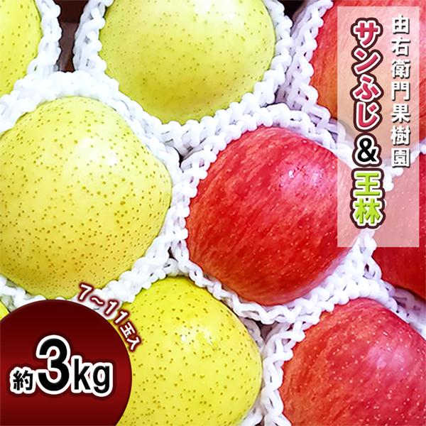 【発売日：2025年11月20日】太陽をいっぱい浴びた、由右衛門果樹園のりんご「サンふじ＆王林」の詰め合わせセットをお贈りいたします。［サンふじ］甘味と酸味のバランスがよく、シャキシャキの食感と果汁たっぷりのりんごです！［王林］芳醇な香りが...