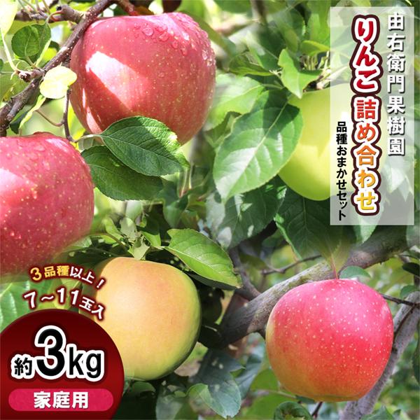 【発売日：2025年11月10日】由右衛門果樹園の赤色・黄色のりんごの中から、出荷時期に最も旬なりんごを3品種以上詰め合わせてお送りします！普段なかなか目にすることが出来ない珍しい品種のりんごが入っているかもしれません。家族みんなで食べ比べ...
