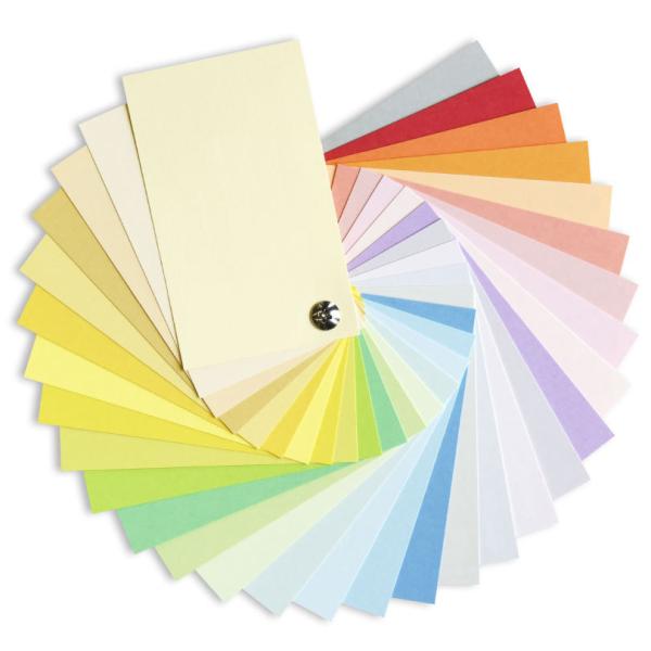 下記は概要です。必ず【 詳細な説明 】をご確認の上でご注文くださいませ。●内容 ： 印刷前の名刺台紙の販売です。　※ご自身で印刷される方、名刺以外の利用にもどうぞ。　※豊富な色からイメージカラーに合ったものをお選びいただけます。●配送 ： ...