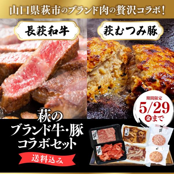 【発売日：2026年05月15日】期間限定販売：5月29日（金）まで※商品のお届けには【2週間程】かかる場合がございます。予めご了承下さいませ。山口県萩市の、ブランド和牛とブランド豚のコラボセット！「長萩和牛」と「むつみ豚」。まだ食べたこと...