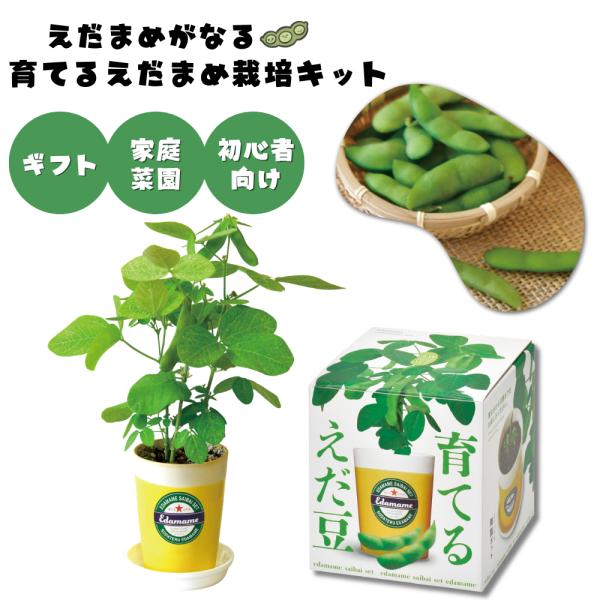＼育てて楽しい♪ 食べておいしい♪／発売以来大人気の「えだ豆栽培セット」！フレッシュで鮮やかな緑色のえだ豆が、おうちで気軽に育てられる栽培キットです。ぐんぐん成長していく姿に、大人も子どもも思わずワクワク！発芽まで約5〜7日と比較的育てやす...