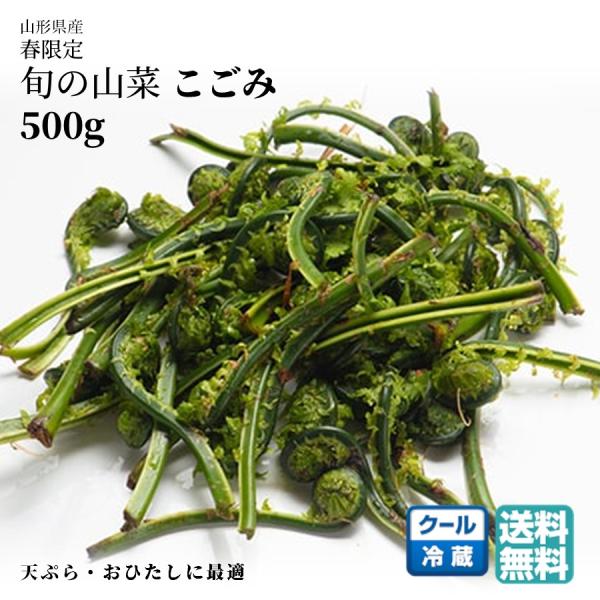 山形の里山で採れた天然こごみを、旬の時期に合わせて産地直送でお届けします。春に芽吹くこごみはクセが少なく、山菜が初めての方でも食べやすい人気の山菜です。くるっと丸まった見た目と、シャキッとした食感が特徴。天ぷらやおひたし、和え物など、さまざ...