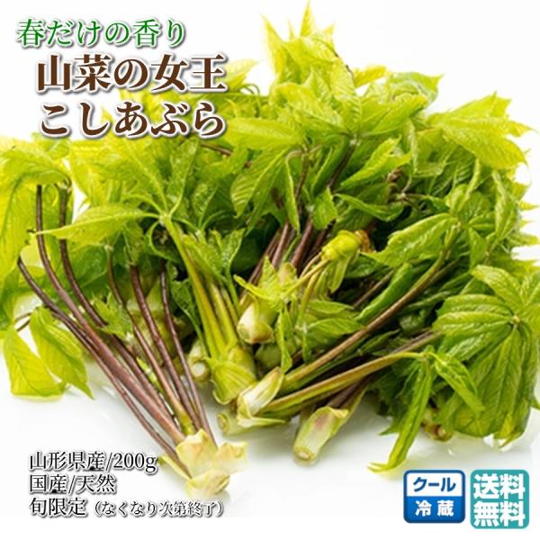 春だけの贅沢、山菜の女王「こしあぶら」。山形の自然で育った天然ものは、ふわっと広がる香りと上品な苦みが特長です。天ぷらにすると香りが引き立ち、春の味覚をしっかり楽しめます。■ おすすめの食べ方天ぷら（王道・一番人気）おひたし和え物炊き込みご...
