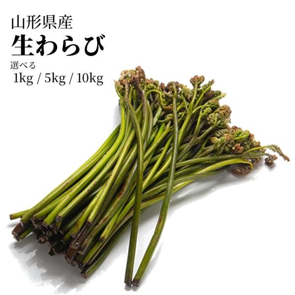 山形の里山で採れた旬のわらびを、鮮度そのまま産地直送でお届けします。雪解けとともに芽吹くわらびは、今だけの特別な春の味覚です。香り豊かでやわらかな食感が特徴で、おひたしや煮物、味噌汁など、さまざまなお料理にお使いいただけます。初めての方でも...