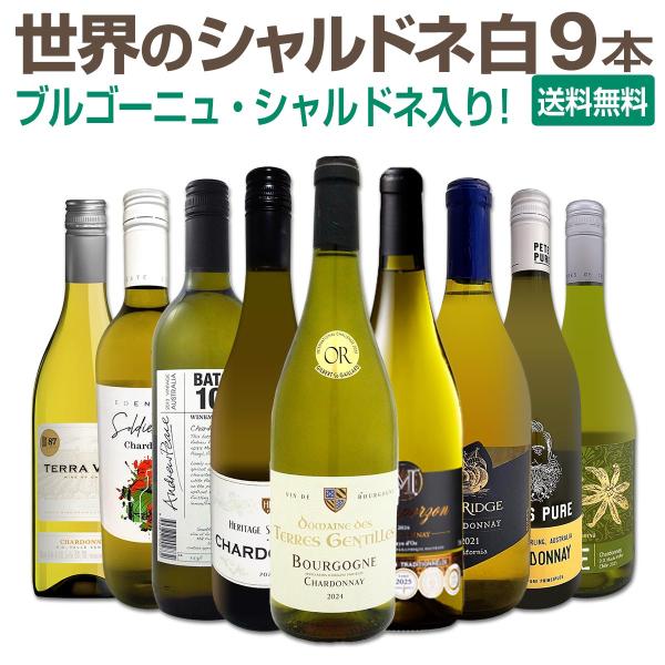 嬉しいブルゴーニュ・シャルドネ入り！世界のシャルドネ白9本セット！世界で最も愛される白ブドウ品種と言えば、やはり『シャルドネ』！ブルゴーニュをはじめ、世界各国から厳選した9本セット！ブルゴーニュの上品さ、アメリカの厚み、チリの果実味などなど...