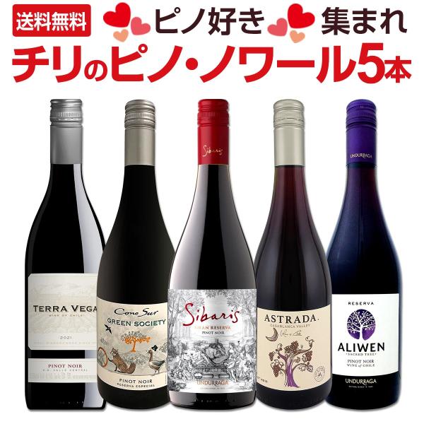 今や、フランスを抜いて輸入量ナンバーワンのチリ！栽培が難しいといわれてきたピノ・ノワールの品質も高くなり、今やピノ好きの日常にチリ・ピノはなくてはならない存在です。チリ最古のワイナリーが造るグラン・レゼルヴァ・クラスのピノと、チリきってのピ...