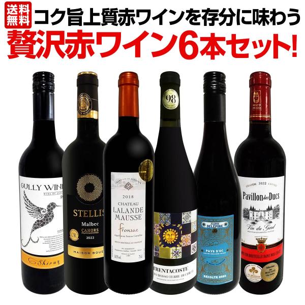 しっかりパワフル！旨み爆発！赤ワインの醍醐味を存分に味わう赤ワイン好きのための赤ワインセット！商品名：赤ワイン セット フランス イタリア 6本 wine set 第50弾