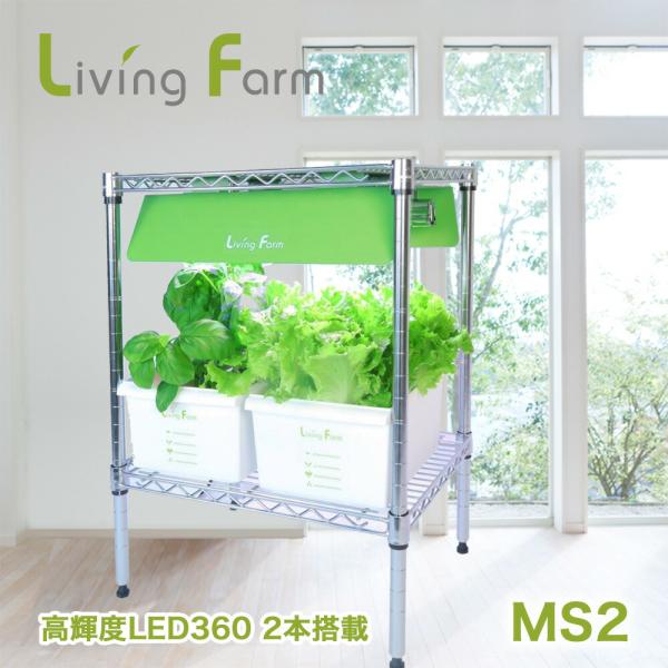 LF-MSL2　水耕栽培キット　リビングファーム　LFMSL2　メーカー直送　代引き／同梱包不可　無農薬野菜　栽培キット　水耕栽培　栽培セット