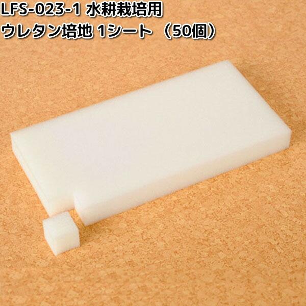 LFS-023-1　水耕栽培用　ウレタン培地　1シート　50個　H型のスリット入り　リビングファーム　LFS023　メーカー直送　栽培キット　水耕栽培