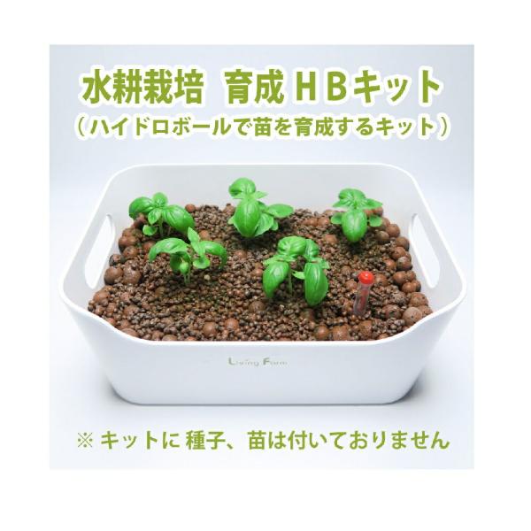 LFS-080　水耕栽培キット　ハイドロボール　育苗・育成　HBキット　※種子別売　リビングファーム　LFS080　メーカー直送　栽培キット　水耕栽培