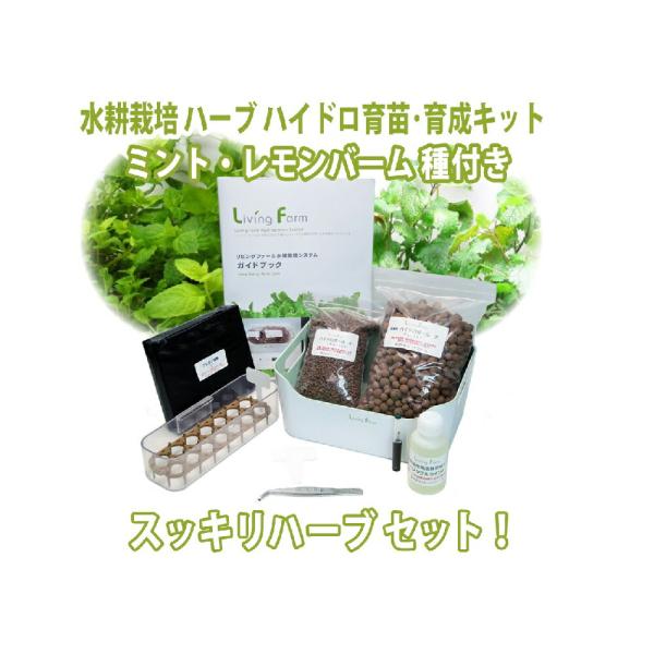 LFS-095-1　水耕栽培キット　ハーブ　スッキリハーブセット　ミント　レモンバーム　種子付　育苗・育成　HBキット　リビングファーム　メーカー直送