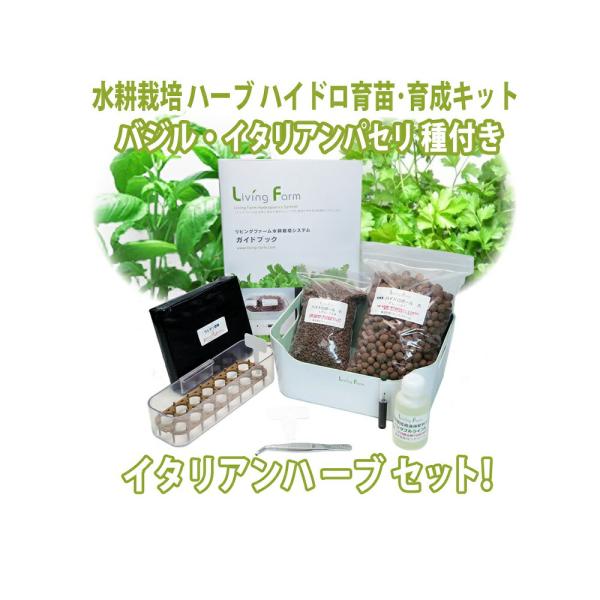LFS-095-2　水耕栽培キット　イタリアンハーブセット　バジル　イタリアンパセリ　種子付　育苗・育成　HBキット　リビングファーム　メーカー直送