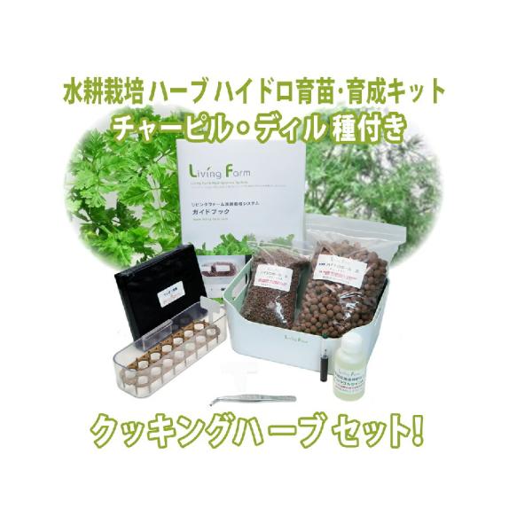 LFS-095-3　水耕栽培キット　クッキングハーブセット　チャービル　ディル　種子付き　育苗・育成　HBキット　リビングファーム　メーカー直送