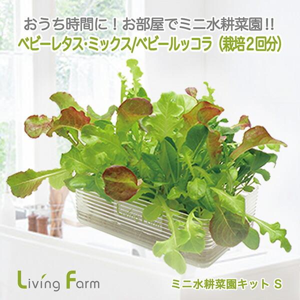 LFS-320　ミニ水耕菜園キットS　ベビーリーフ　ルッコラ　リビングファーム　メーカー直送　代引き／同梱不可　無農薬野菜　栽培キット　水耕栽培セット