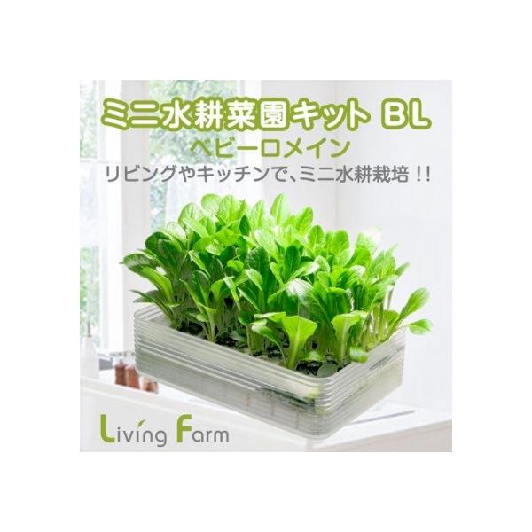 初めてチャレンジする方でも簡単に始められる入門キット！