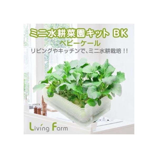 初めてチャレンジする方でも簡単に始められる入門キット！