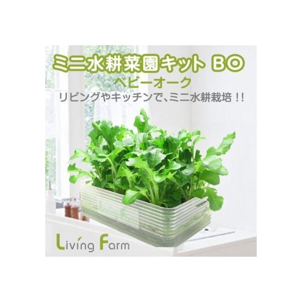 初めてチャレンジする方でも簡単に始められる入門キット！