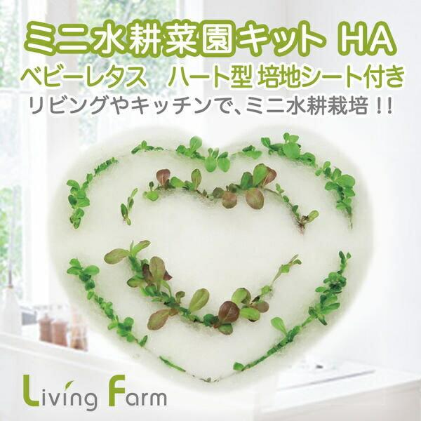 リビングファーム LFS-372 ミニ水耕菜園キットHA ハート ベビーレタスミックス2種【メーカー直送】【代引き／同梱包不可】水耕栽培　キット