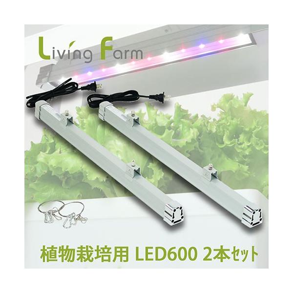 水耕栽培に最適な光です！