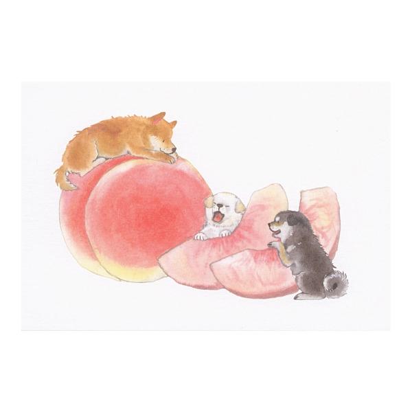 人気イラストレーター村田夏佳氏の「しばいぬとおかし」シリーズの水彩画ポストカードです。人気シリーズから夏の味覚が登場!おいしそうなおやつと愛らしい柴犬がみずみずしいタッチで描かれています。思わず大切にコレクションしたくなるかわいさです。: ...