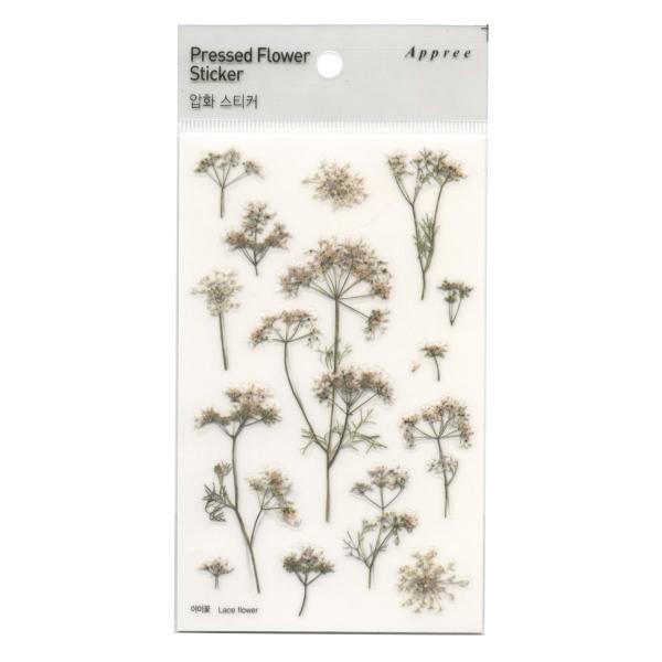 花や葉の原型を保ちながら水分を除去する押し花の現画像がシールになりました。まるで本物のように細部までこだわってデザインされています。PET素材なので防水性・耐久性が高いです。日記やカード、手紙やノート、スマホケースなどデコレーションするのに...