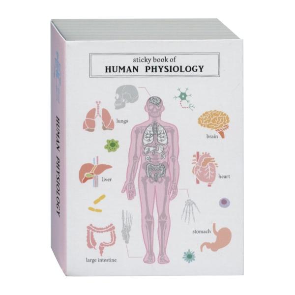 学びがテーマのSTUDY HOLICシリーズのふせんです。まるで辞書のような騙し絵風のパッケージが楽しく、書き込みがしやすい形の様々なサイズのふせんが揃っています。6種×各20枚 計120枚大サイズ:縦50ミリ×横58ミリ中サイズ:縦30ミ...