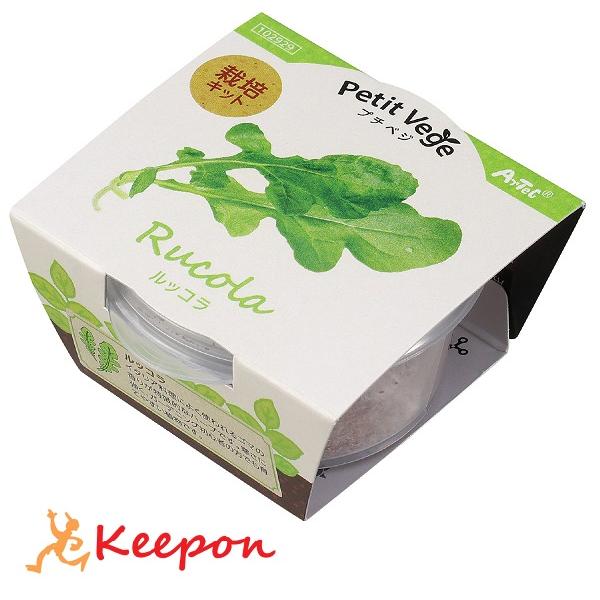 初心者でも簡単に育てられるミニサイズの栽培キット！セット内容プラ容器、圧縮土、種包装サイズ：65x70x33mm材質：土,PP,種(ルッコラ)