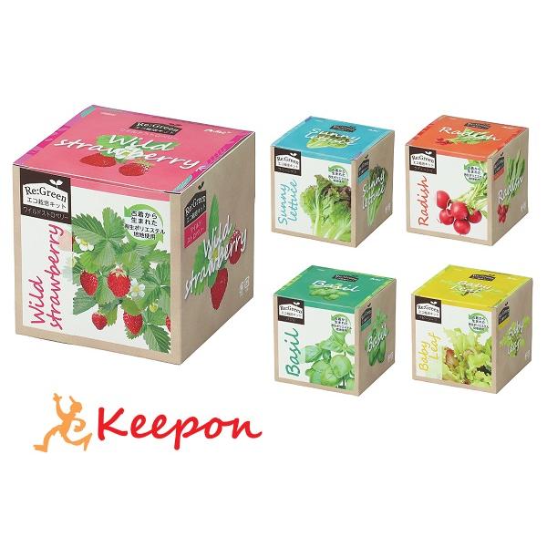 再生素材のポリエステル培地を使ったECO栽培キット！古着から生まれた再生ポリエステル培地 楽しく育てておいしくエコ！軽量で劣化せず、半永久的に使用できる環境にやさしいサスティナブルな培地です。セット内容ポリエステル培地、種、肥料、容器包装サ...