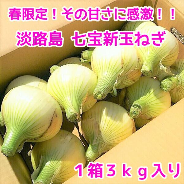 【発売日：2026年05月10日】淡路島新たまねぎの中でも人気のある「七宝」という品種です。この品種の新玉ねぎは他の新玉ねぎに比べて特に甘みが強く、肉厚でみずみずしく、旨味が凝縮されています。長期保存が出来ないため、収穫時期の春先だけしか食...