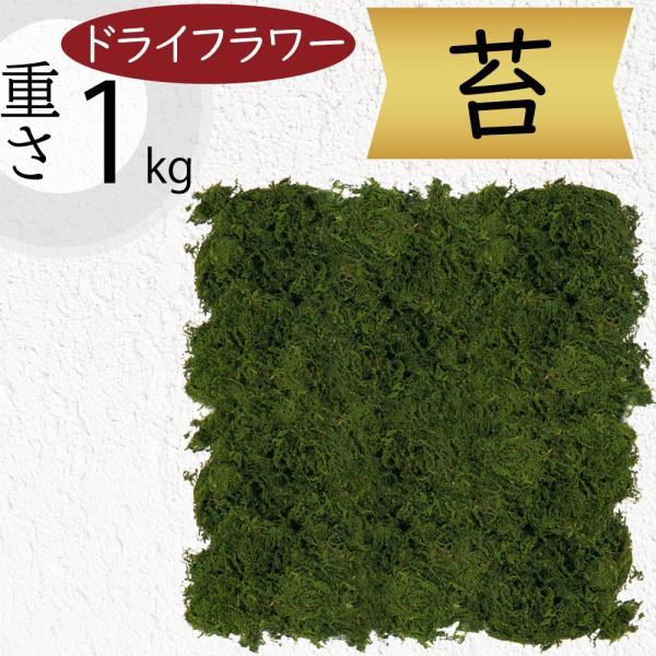 ドライフラワー モス 苔 こけ コケ リアル 人気 おすすめ おしゃれ 山苔 山ゴケ ヤマゴケ フェイクグリーン インテリアグリーン 造花 DIY mossあらゆるシーンで潤うグリーンディスプレイをお楽しみいただけるドライフラワーの山苔です...
