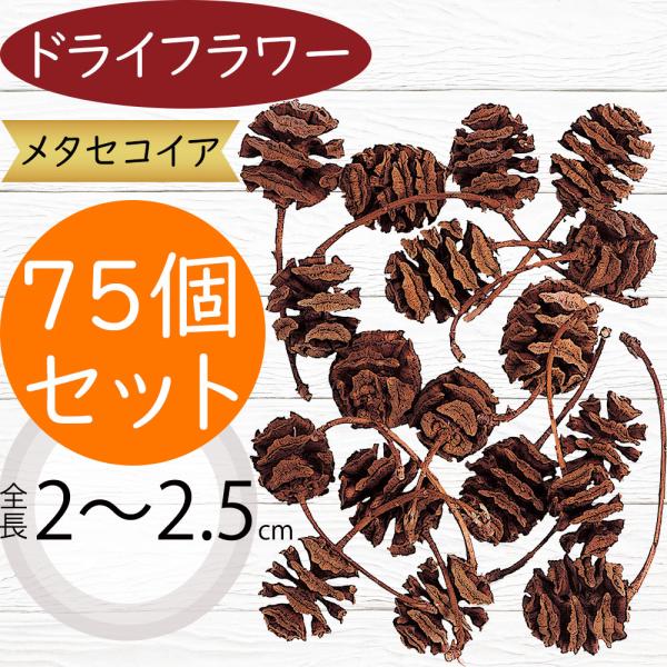ドライフラワー メタセコイア 花材 おしゃれ 人気 おすすめ インテリア詰める、吊るす、挿す、束ねるなど、さまざまな飾り方をお楽しみいただけるドライフラワーです。水分を必要としないドライフラワーは、生花と比べてアレンジメントの幅が広がる彩り...