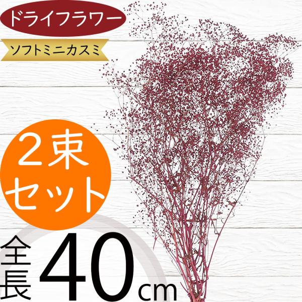 カスミソウ ドライフラワー ドライ素材 ドライ 天然素材 自然素材 おしゃれ 人気 おすすめ吊るす、束ねる、重ねる、挿す、さまざまな使い方でアレンジの幅が広がるドライフラワーです。水やりが不要なドライフラワーは、どこへでも自由に飾ることので...