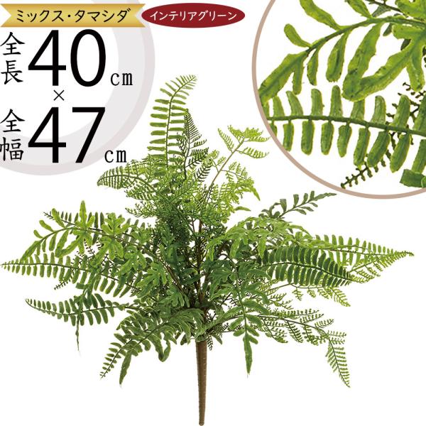 タマシダ フェイクグリーン インテリアグリーン 人工観葉植物 造花 人工樹木 インテリア オブジェ 人気 おすすめ リアル おしゃれ鮮やかな緑色と開放的に広がる葉で空間を彩るタマシダのフェイクグリーンです。一種生けのグリーンアレンジメントを...
