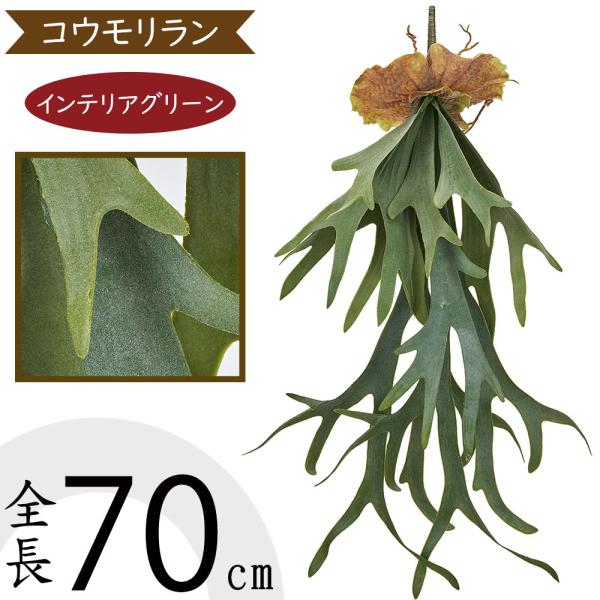 ビカクシダ コウモリラン スタッグホーン フェイクグリーン インテリアグリーン 人工観葉植物 造花 樹木 インテリア オブジェ 人気 リアル おしゃれユニークな姿と淡い葉色が印象的なビカクシダのフェイクグリーンです。目にも楽しく、室内をおし...