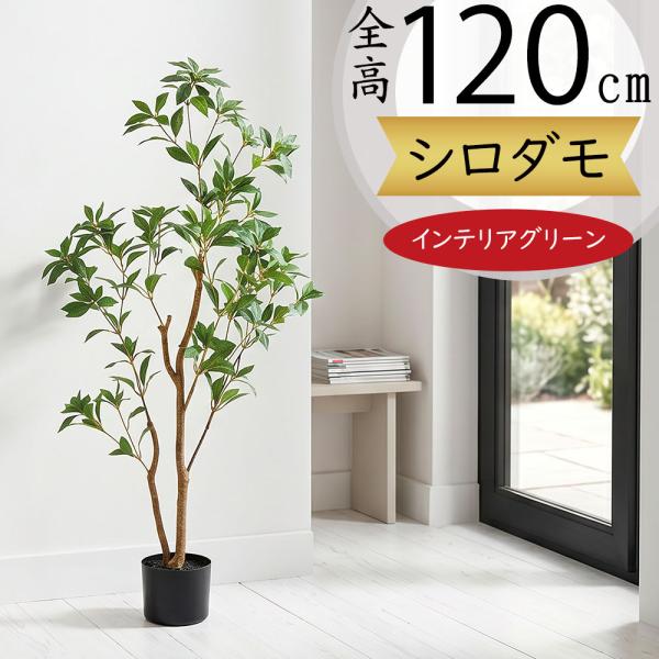 シロダモ フェイクグリーン インテリアグリーン 人工観葉植物 造花 人工樹木 インテリア オブジェ 人気 おすすめ リアル おしゃれどんな空間にもナチュラルに馴染むシロダモのフェイクグリーンです。目にも楽しく、心にも安らぎと爽快感を与えてく...