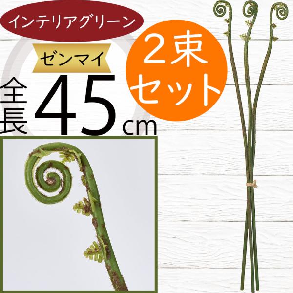 ゼンマイ 薇 枝物 フェイクグリーン インテリアグリーン 人工観葉植物 造花 人工樹木 インテリア オブジェ 人気 おすすめ リアル おしゃれ若芽をくるりと巻いた春の山菜。春の息吹を感じさせてくれる薇（ゼンマイ）のフェイクグリーンです。食用...