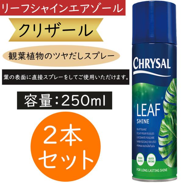クリザール リーフシャインエアゾール スプレー 花材 資材観葉植物のツヤ出しスプレーです。●2本セットです。・写真は1本分です。容量：250ml・観葉植物のツヤ出しスプレーです。・商品本体の形状やパッケージは変更になる場合がございます。・航...