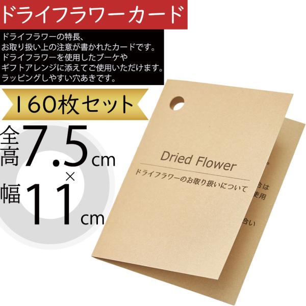 ドライフラワーカード 花材 資材 メッセージカードドライフラワーの特長、お取り扱い上の注意が書かれたカードです。ドライフラワーを使用したブーケやギフトアレンジに添えてご使用いただけます。ラッピングしやすい穴あきです。●160枚セットです。・...