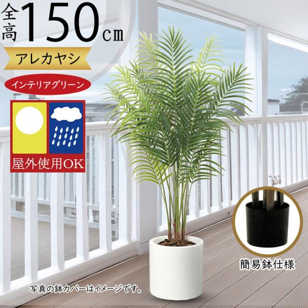 アレカヤシ ヤシの木 ヤシ類 フェイクグリーン インテリアグリーン 人工観葉植物 造花 人工樹木 インテリア オブジェ 人気 リアル おしゃれ美しく開放的に広がる葉が魅力的なアレカヤシのフェイクグリーンです。虫の苦手な方や不在の多い方にもお...