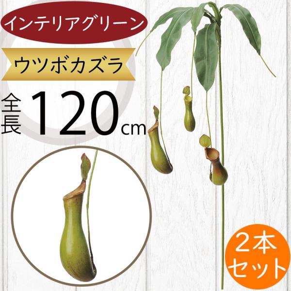 ウツボカズラ 食中植物 フェイクグリーン インテリアグリーン 人工観葉植物 造花 インテリア オブジェ 人気 リアル おしゃれユーモラスなグリーンディスプレイに欠かせないウツボカズラのフェイクグリーンです。自然界の躍動感を表現した美しい佇ま...