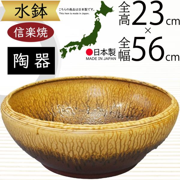 信楽焼 水鉢 睡蓮鉢 スイレン鉢 器 インテリア 和風 国産品 日本製 おしゃれ 人気 おすすめメダカや金魚といった生き物の生育をはじめ、蓮の花など水生植物の観賞（ビオトープ）にご使用いただける水鉢です。広いスペースや池がなくても庭やバルコ...