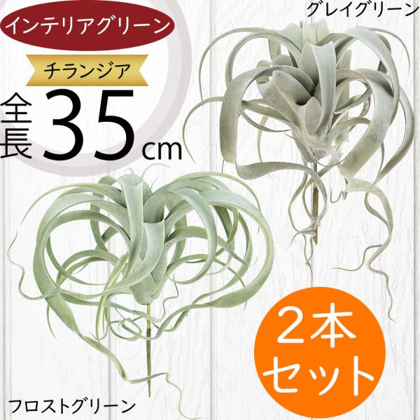 チランジア エアープランツ フェイクグリーン インテリアグリーン 人工観葉植物 造花 樹木 インテリア オブジェ 人気 リアル おしゃれどんな空間にもナチュラルに馴染むチランジアのフェイクグリーンです。目にも楽しく、室内をおしゃれに飾れるイ...