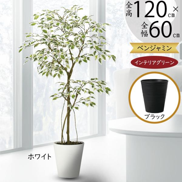 フィカス ベンジャミン ベンジャミナ フェイクグリーン インテリアグリーン 人工観葉植物 造花 人工樹木 インテリア オブジェ 人気 おすすめ リアル おしゃれワンランク上のグリーン空間を演出するベンジャミンのフェイクグリーンです。鉢の根元...