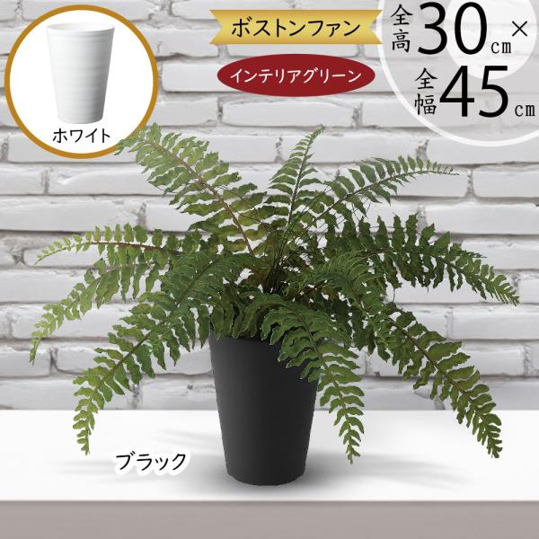 ボストンファン タマシダ 玉シダ フェイクグリーン インテリアグリーン 人工観葉植物 造花 樹木 インテリア オブジェ 人気 おすすめ リアル おしゃれ印象的なグリーン空間を演出できるインテリアグリーンです。目の届きやすい棚の上やテーブル、...