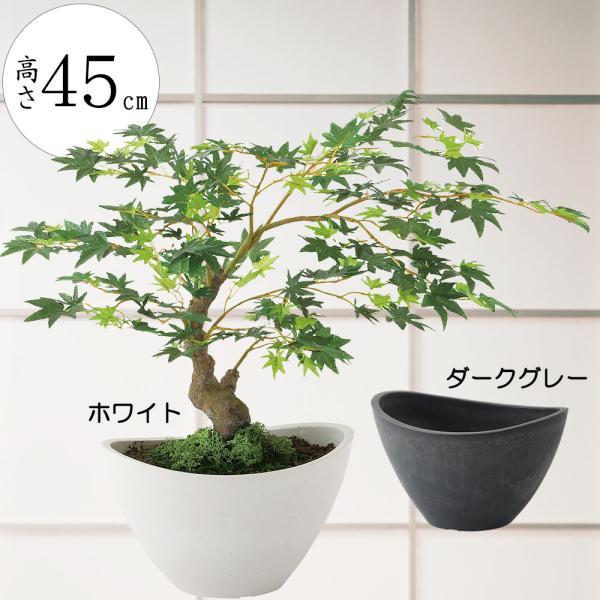 モミジの盆栽 もみじ 紅葉 盆栽 フェイクグリーン インテリアグリーン 人工観葉植物 造花 人工樹木 インテリア オブジェ 人気 リアル おしゃれ粋な和風空間を演出してくれる盆栽のフェイクグリーンです。目にも楽しく、心にも安らぎを与えてくれ...
